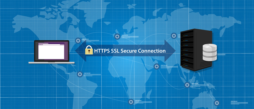 Top 12 SSL Stats That Will Surprise You - SSL Dragon